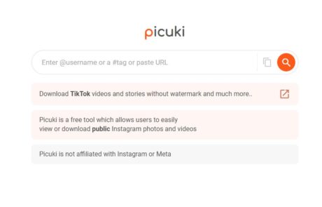 Picuki Review 2025: How Does It Work?