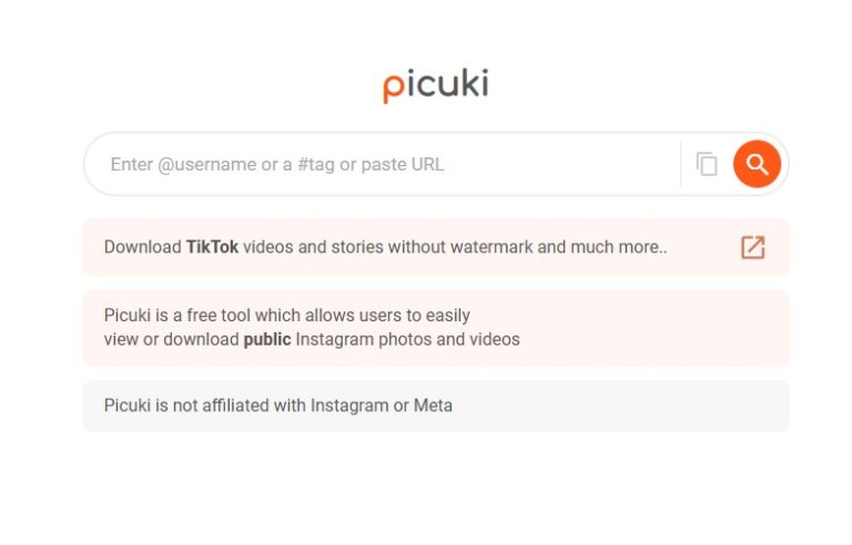 Picuki Review 2025: How Does It Work?